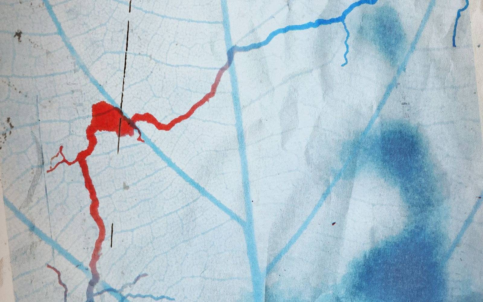 Kin: Learning Guide - education resource | National Theatre