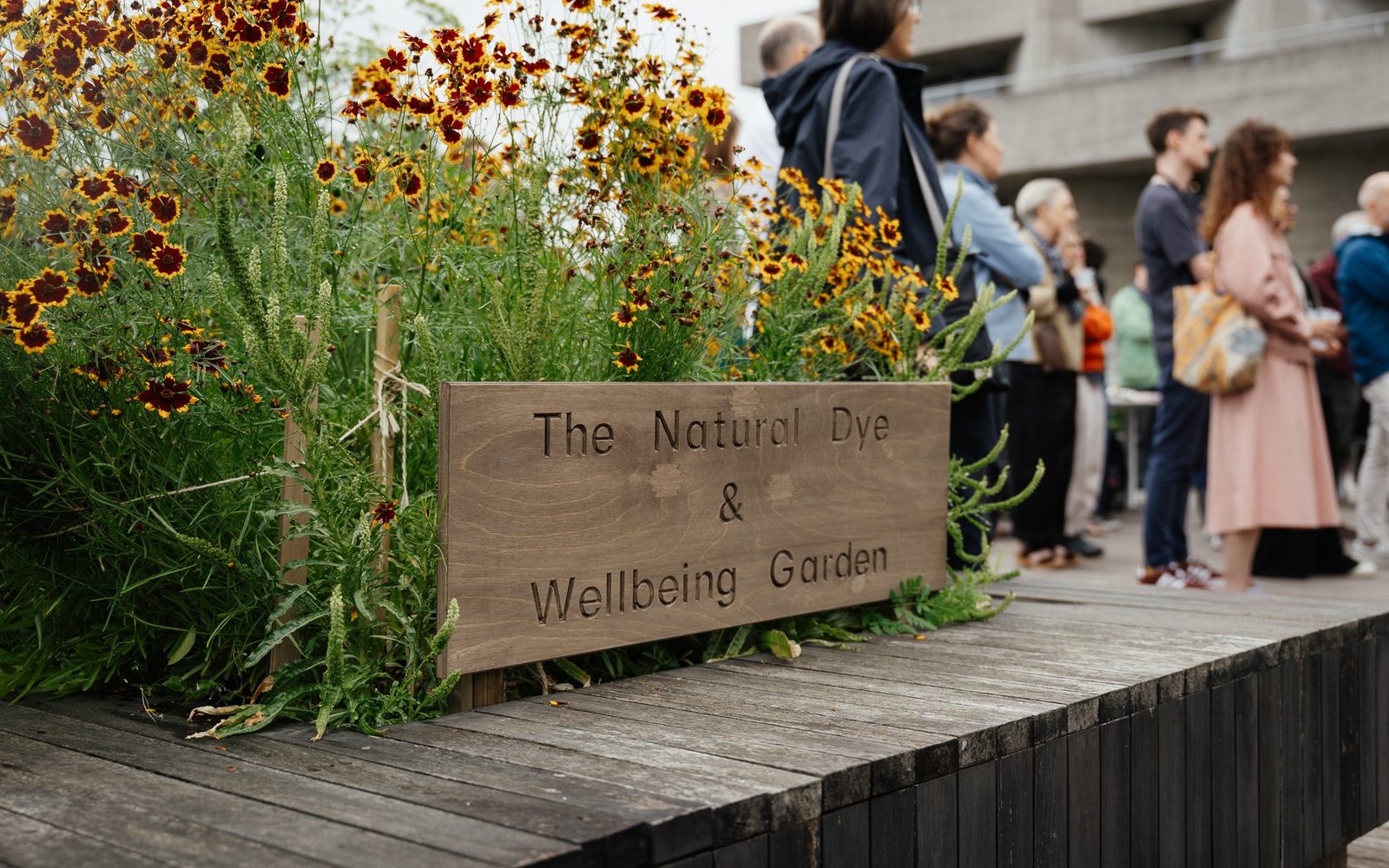 The Natural Dye and Wellbeing Garden | South Bank | National Theatre